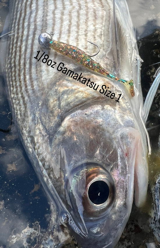 Campania Lures
