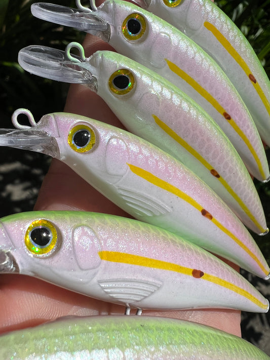 Products – Campania Lures
